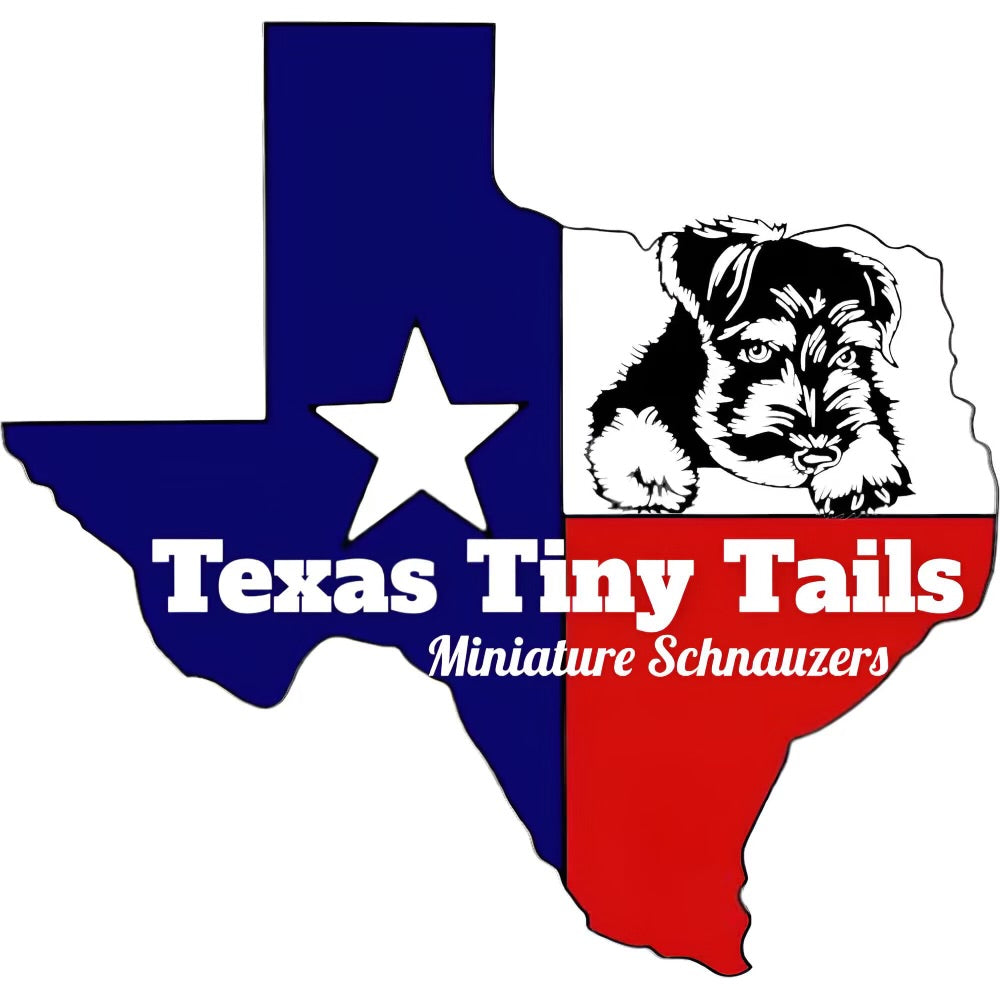 Portfolio – Texas Tiny Tails